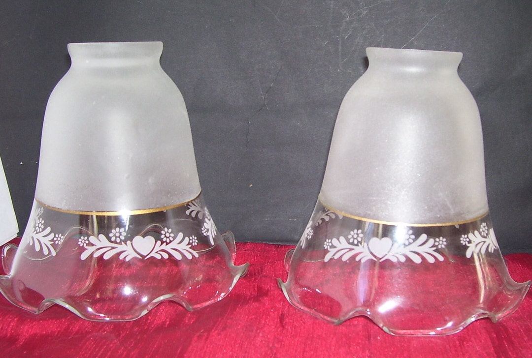 Pair Frosted Etched Lamp Shades Table Lamps Shade Wall Light Shade ...