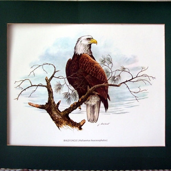 James Lockhart Art - Etsy