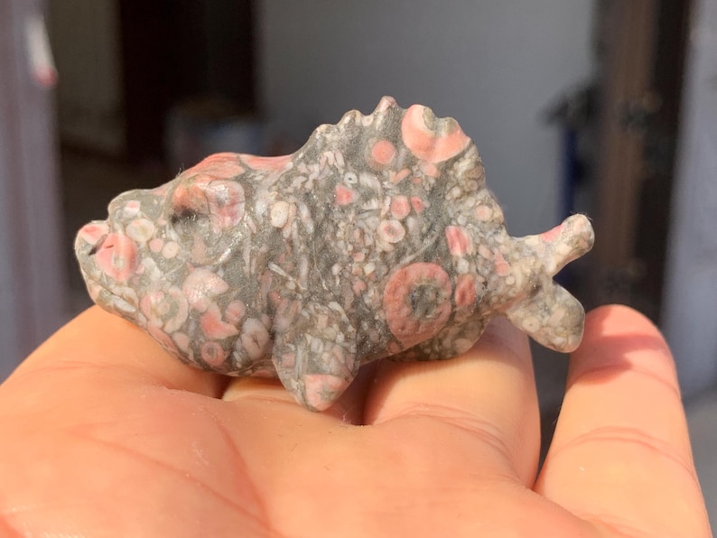 Hand Carved Crystal Piranha: Natural Jade Stone Fish Skull Decor - Etsy