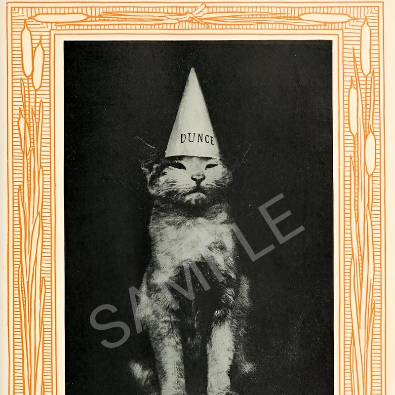 Dunce Cap - Etsy