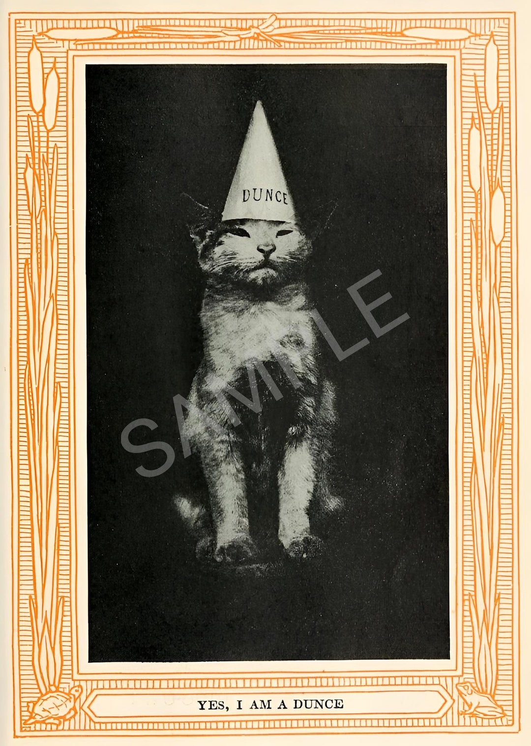 8x10 Funny 19th Century Vintage Cat Photo Poster: "dunce Cap" (digital ...