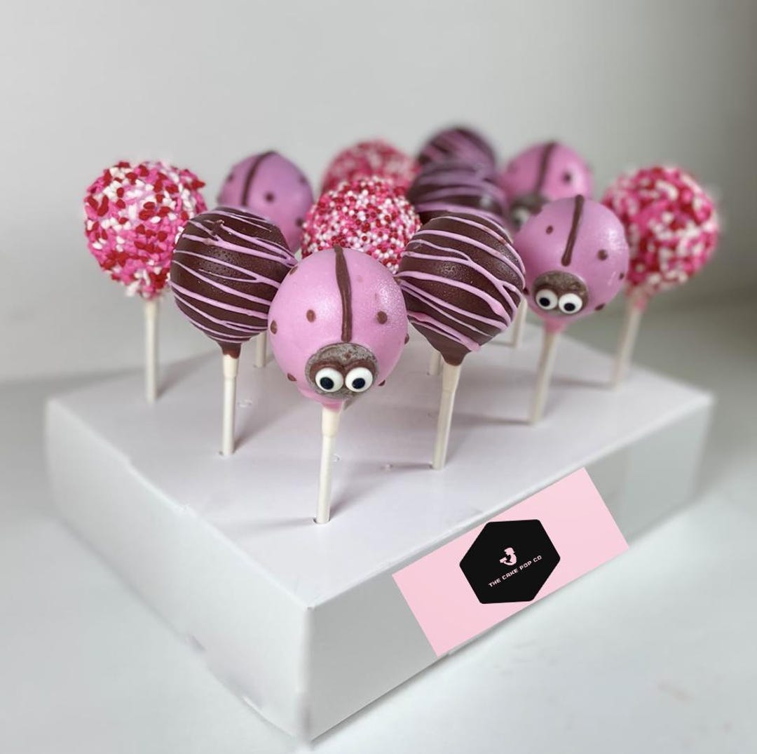 Love Bug Cake Pops | Valentine's Day Cake Pops | Birthday Gift Cake Pops - Etsy