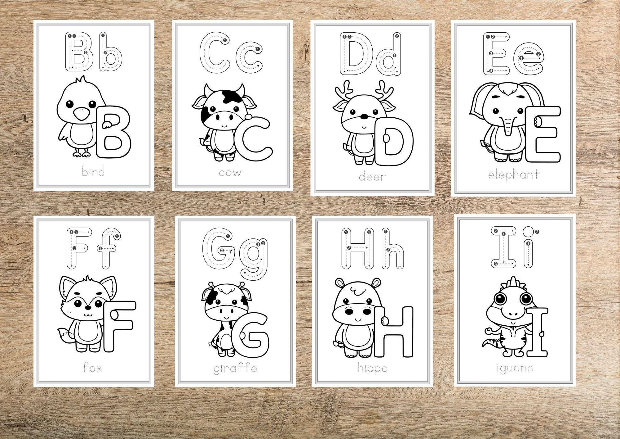 Animal Alphabet Tracing and Coloring Book for Kids - Etsy