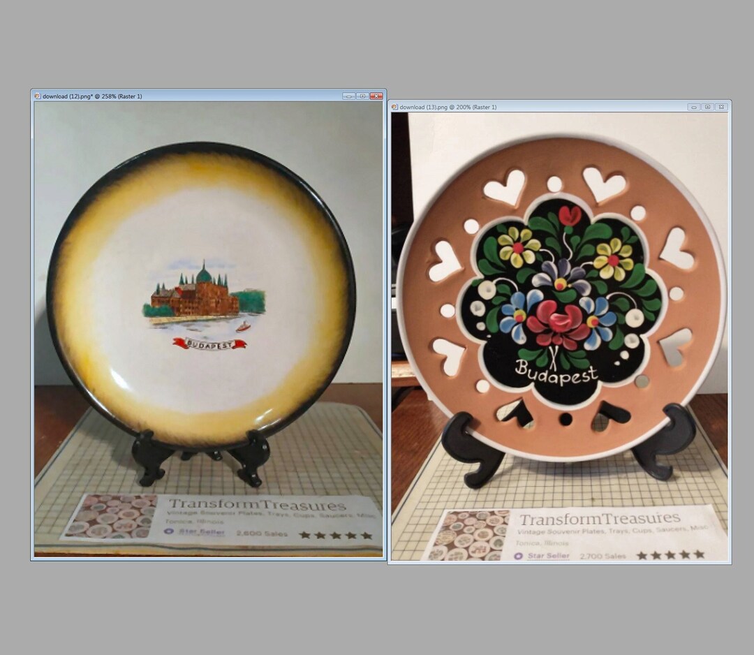 Vintage Budapest Souvenir Plate Collectible Europe Decorative Travel ...