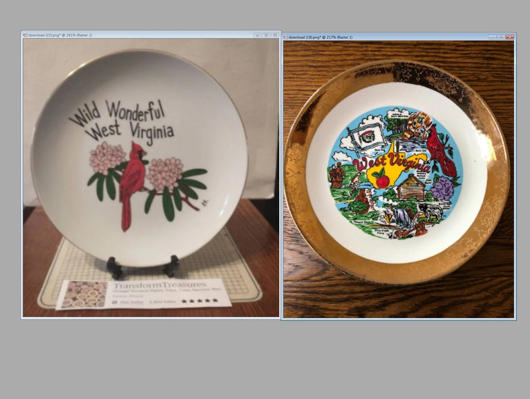 Vintage West Virginia Souvenir State Plate WV Decorative Collector ...