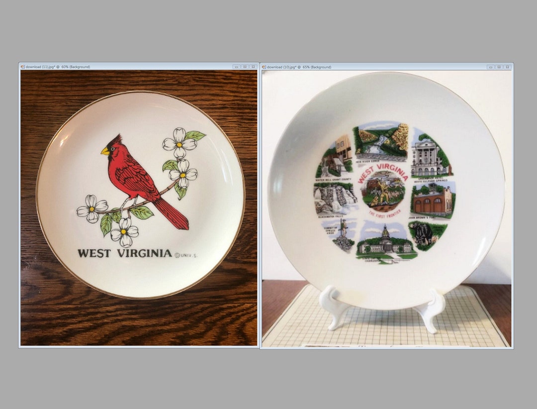Vintage West Virginia Souvenir State Plate WV Cardinal Bird Decorative ...
