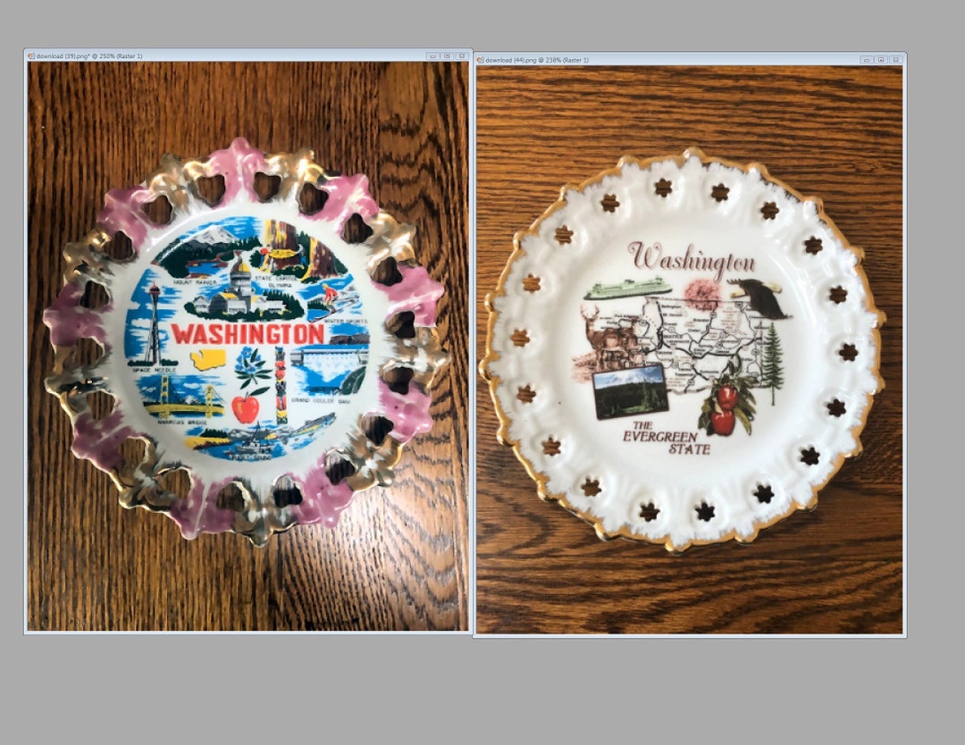 Vintage Washington State Souvenir Plate Landmarks Decorative Collector ...