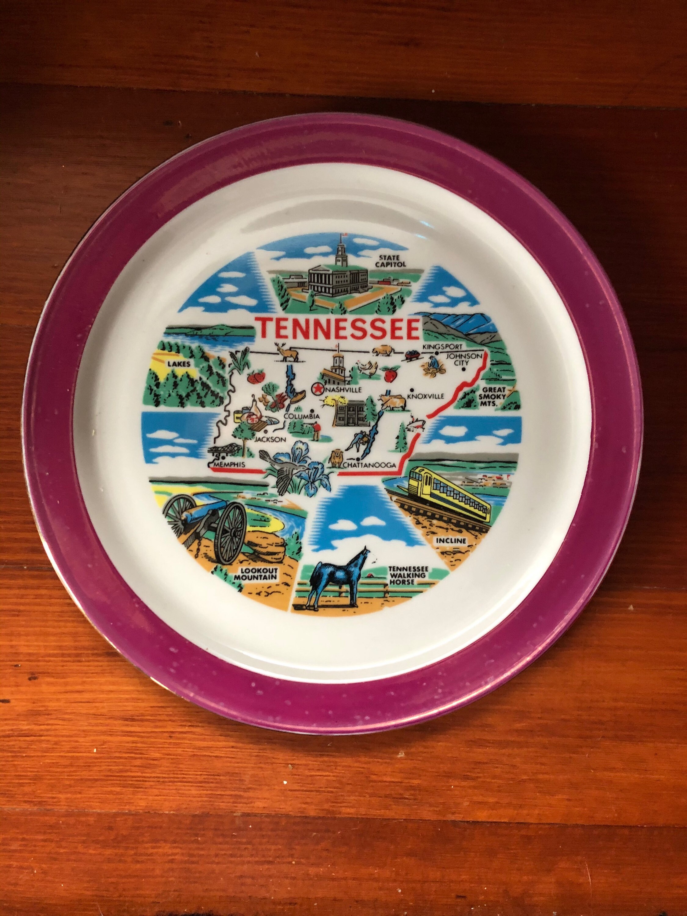 Vintage Tennessee Souvenir State Plate Small Decorative | Etsy