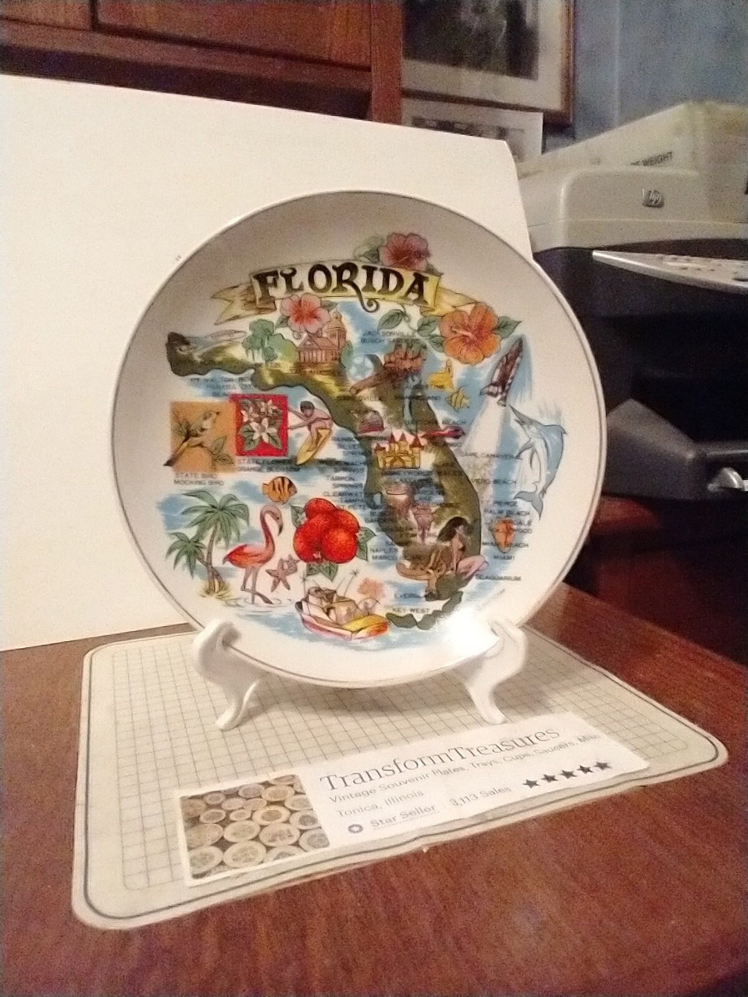 Vintage Florida Souvenir State Plate Landmarks Decorative - Etsy