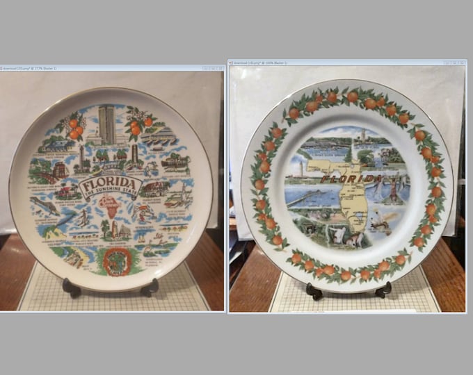 Vintage Florida Souvenir State Plate Landmarks Decorative Collector ...