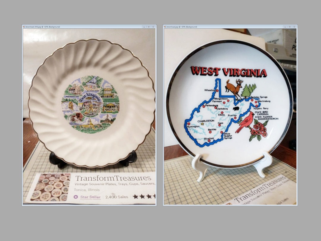 Vintage West Virginia Souvenir State Plate Small WV Cardinal Bird ...