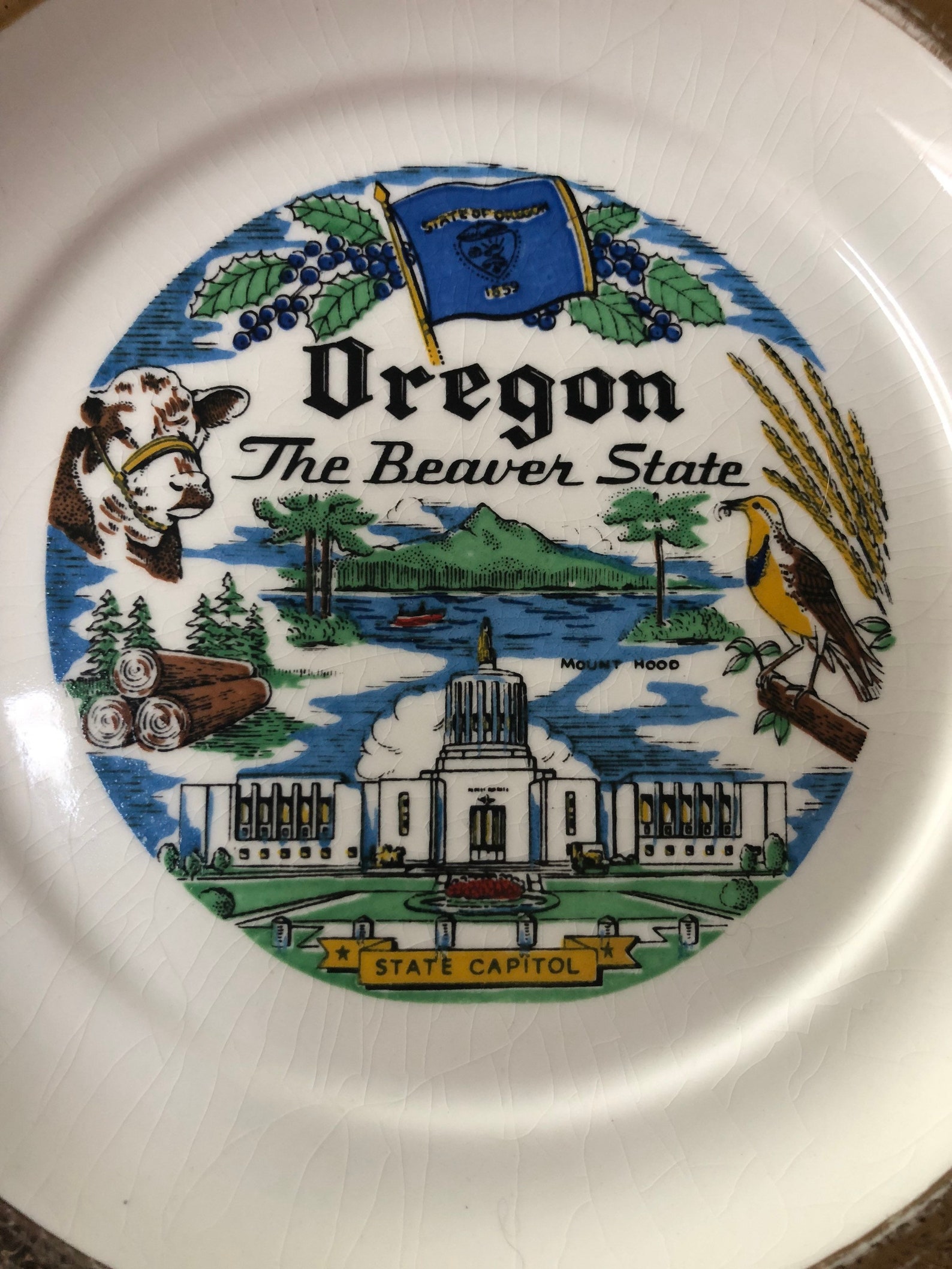 Vintage Oregon Souvenir State Plate Small Decorative Collector - Etsy UK