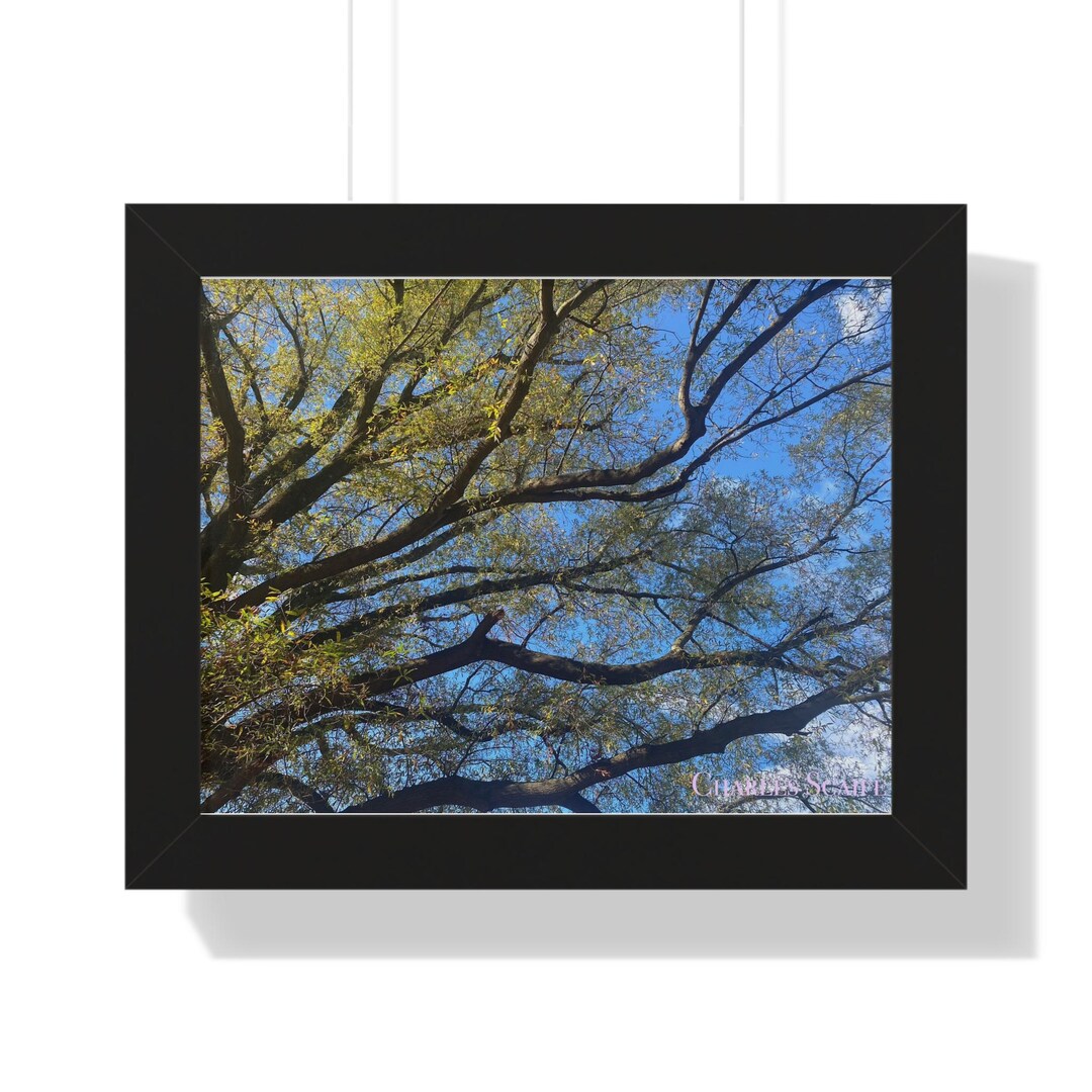 Nature-inspired Framed Horizontal Poster, Wall Art for Home Decor ...