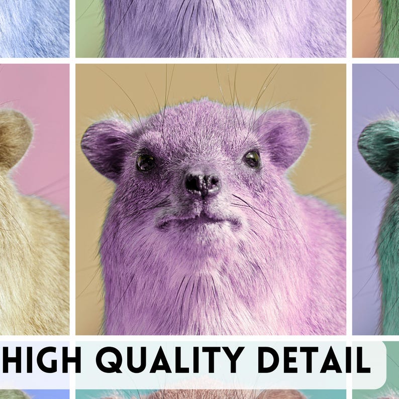 Pastel Wall Art Pop Art Funny Awawa Meme Hyrax Decor Animal Meme ...