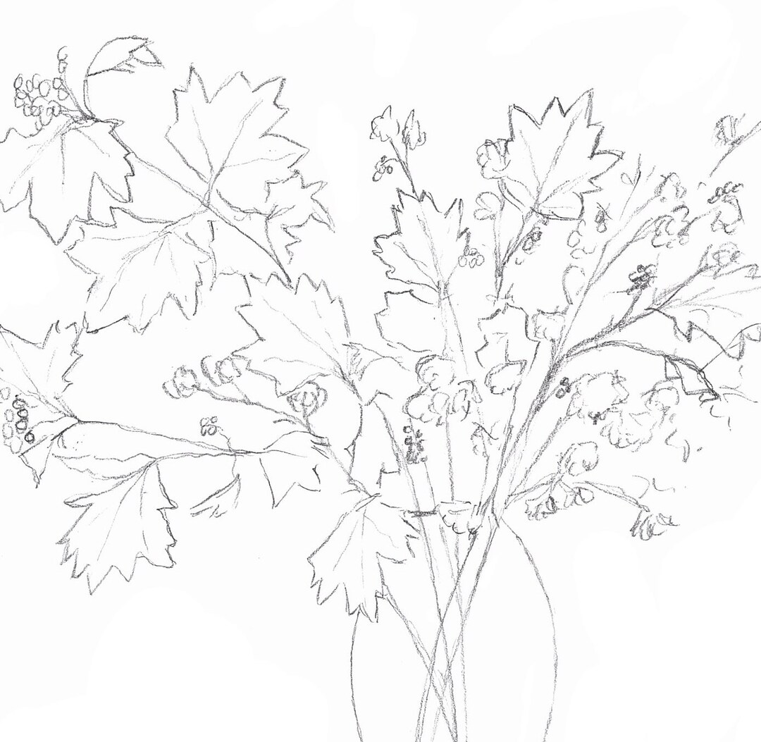 Japanese Maple Tree Branch Drawing, Still Life Branches in a Vase ...