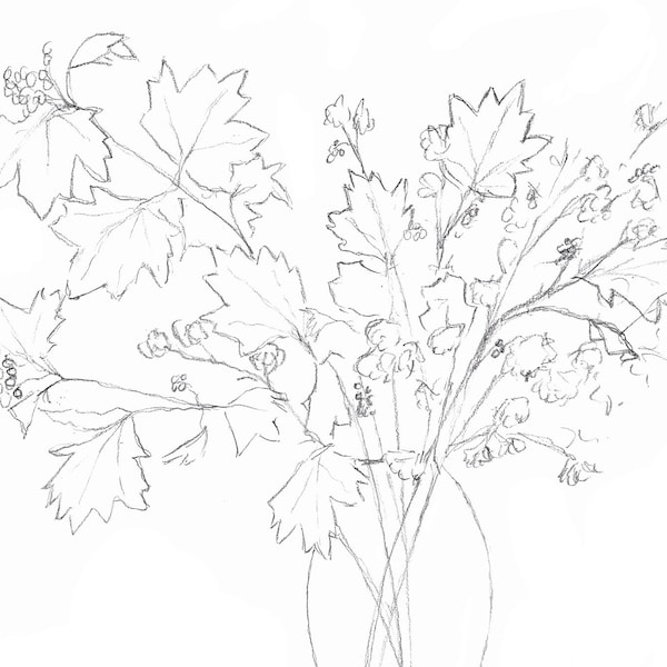 Japanese Maple Tree Drawing - Etsy