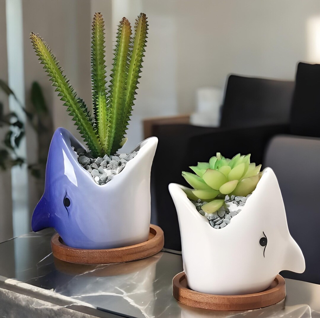 Ceramic Shark Succulent Pot for Home Decor, Cute Planter, Aesthetic ...