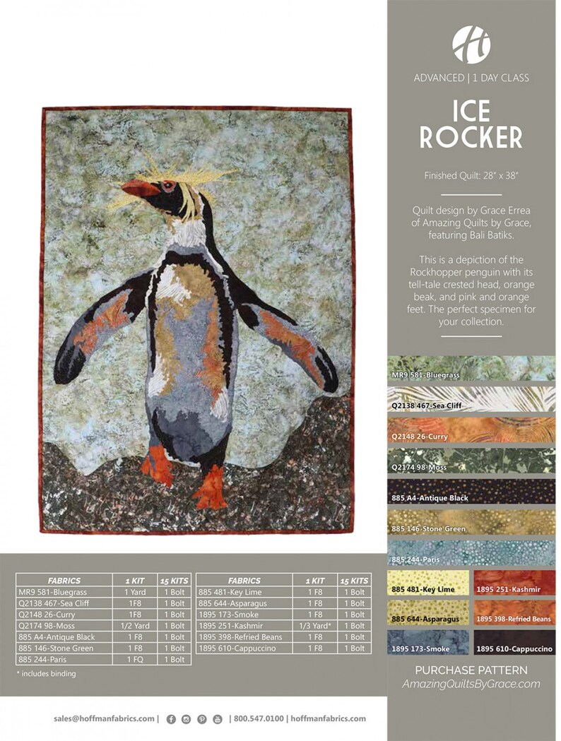 Ice Rocker Penguin Applique Amazing Quilts by Grace Pattern - Etsy