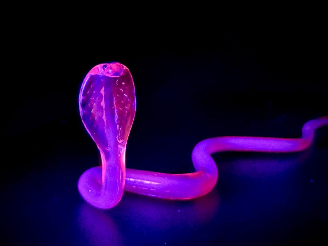 Pink Glow Cobra Snake - Glass Figurine Sculpture - Etsy