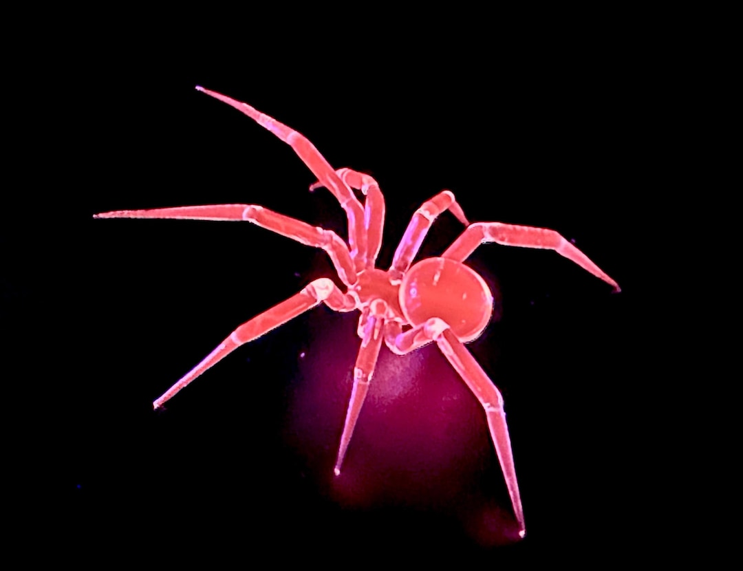 Pink Glow Spider - Glass Figurine Sculpture - Etsy