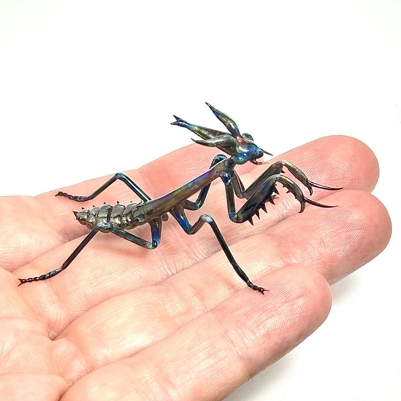 Iridescent Conehead Praying Mantis - Glass Figurine Sculpture - Etsy