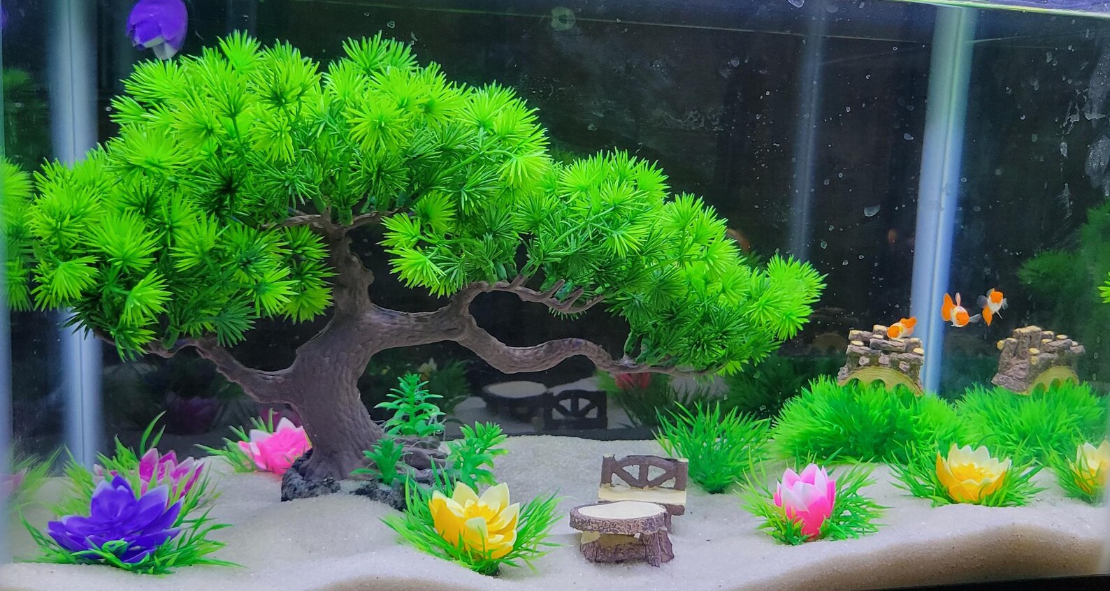 Garden Aquarium Kit - Aquarium Fish Tank Bundle - Etsy