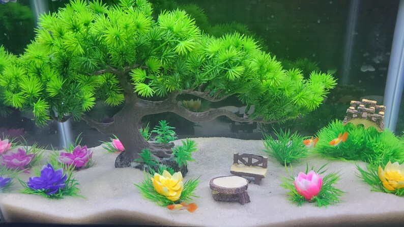 Garden Aquarium Kit - Aquarium Fish Tank Bundle - Etsy