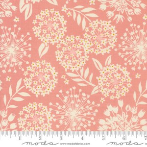 Tango Precut Charm Pack by Kate Spain for Moda | 42 Assorted 5" Squares ...