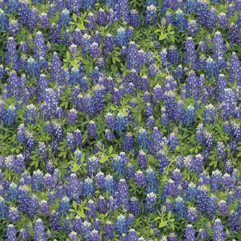 Bluebonnet Fabric - Etsy