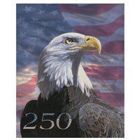 Soaring Wings Eagle Panel - David Textiles - LAST ONE - Etsy
