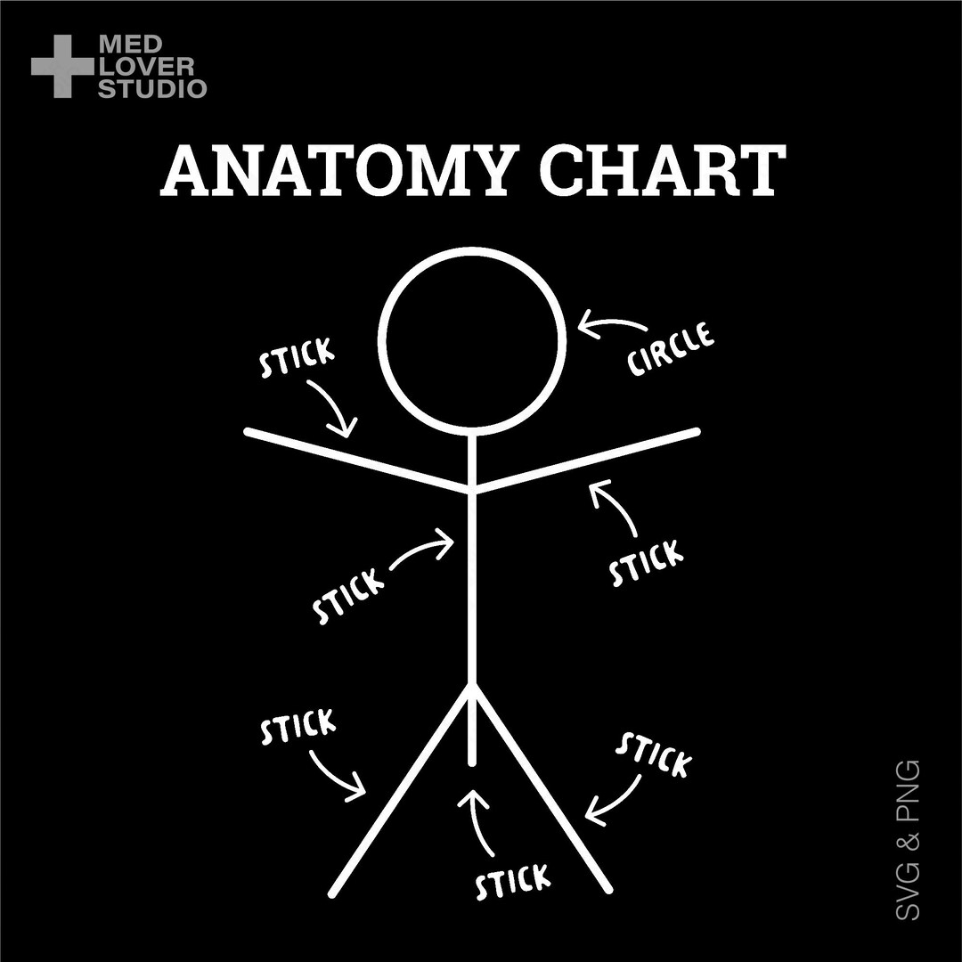 Anatomy Stickman Svg Png, Funny Anatomy Chart Svg, Med School Svg ...