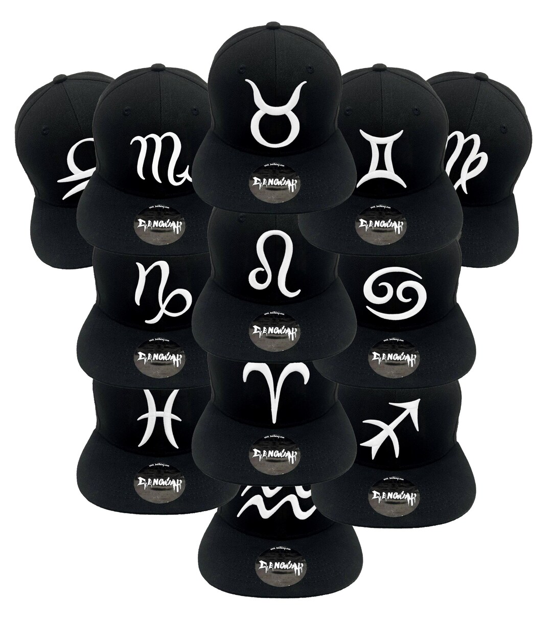 12 Zodiac Signs 3D Embroidered Cap Snapback |astrology Cap Astrology ...