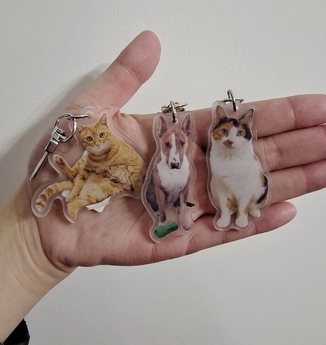 Personalized Pet Photo Keychain | Custom Cat Dog Keychains | Pet Loss ...