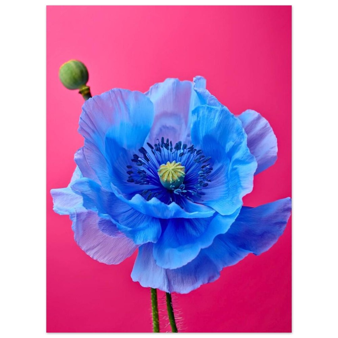 Posters/prints Only* Semi-glossy Paper Poster 45x60 Cm / 18x24″ - Etsy