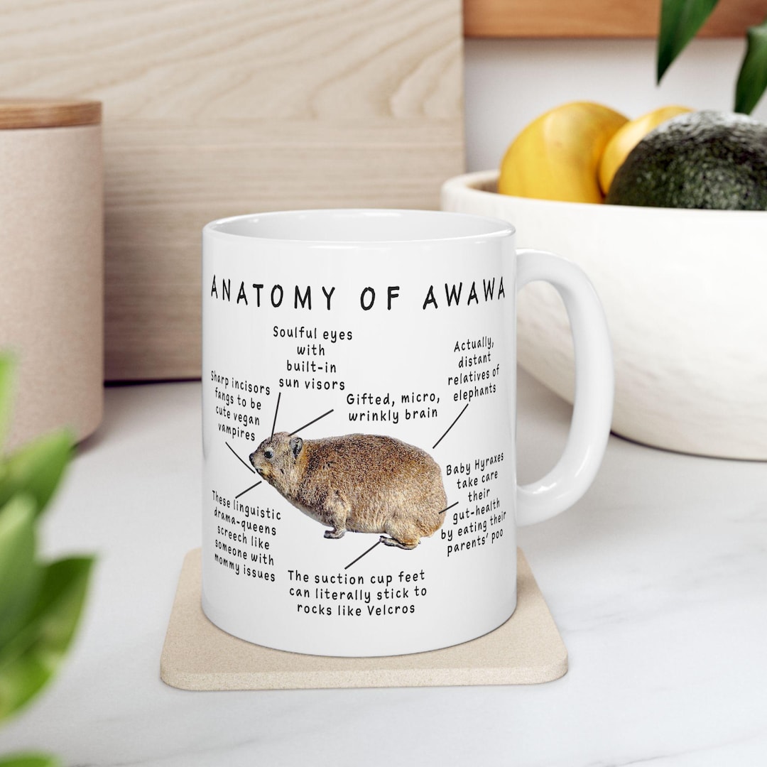 Anatomy of Awawa Hyrax Funny Mug Coffee Cup Weird Unique Gift for ...
