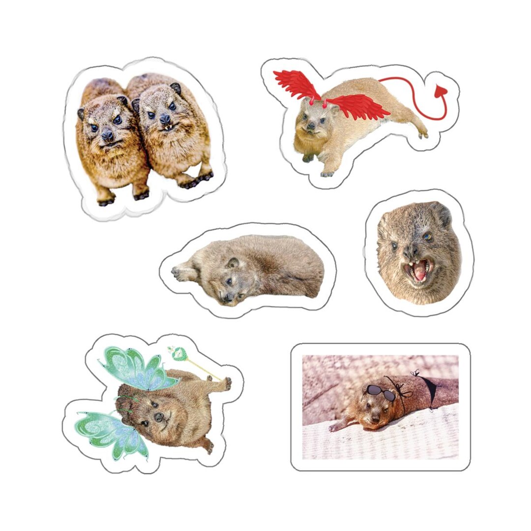 Hyrax Sticker Sheet 6" X 6" Kiss-cut Sticker for Laptop Cute Sticker ...
