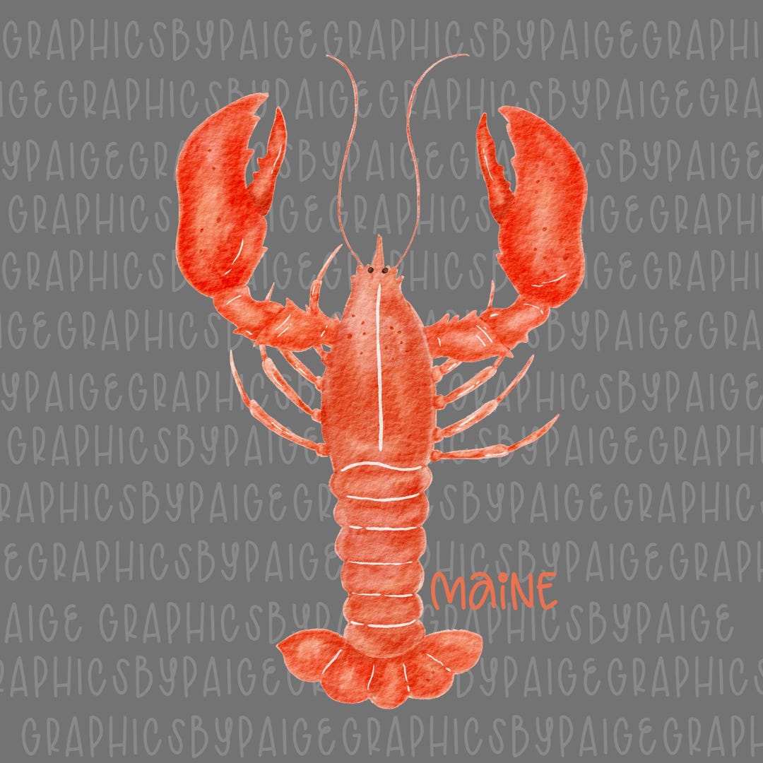 Watercolor Maine Lobster PNG | Hand-painted Lobster Clipart | Coastal ...