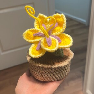 Sundrop Flower Crochet Decor - Etsy