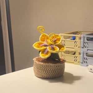 Sundrop Flower Crochet Decor - Etsy