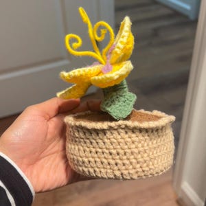 Sundrop Flower Crochet Decor - Etsy