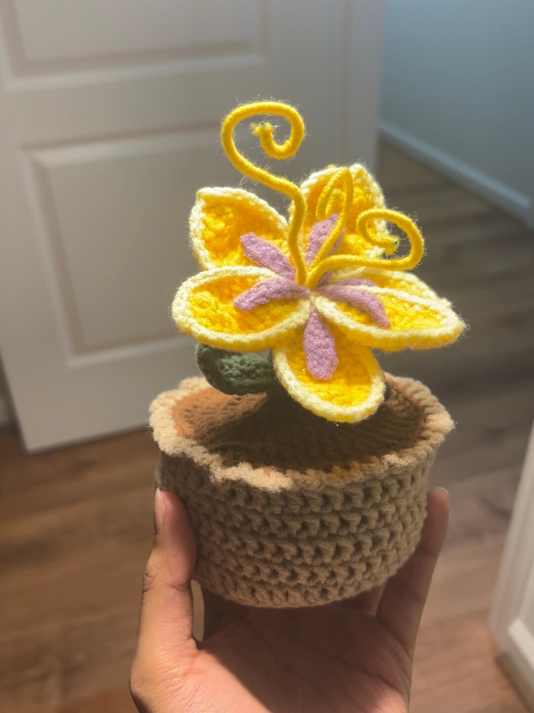Sundrop Flower Crochet Decor - Etsy