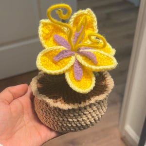 Sundrop Flower Crochet Decor - Etsy