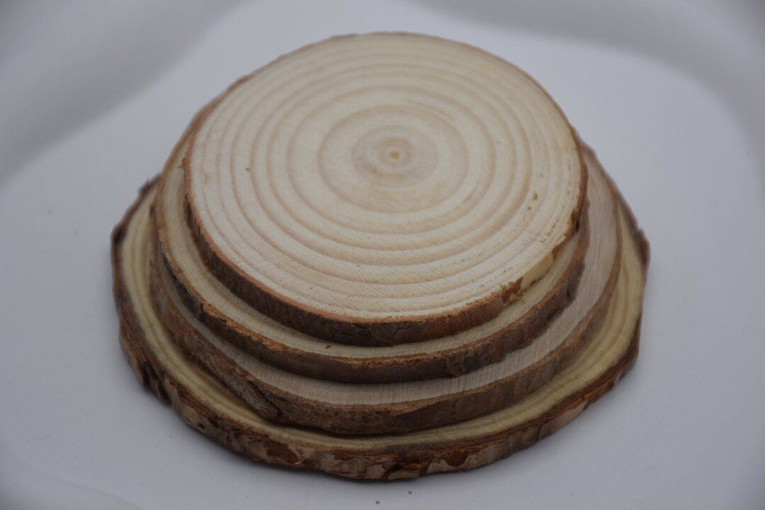 5PCS Natural Round Wood Slices,rustic Wood Slab,wedding Circle Woods ...