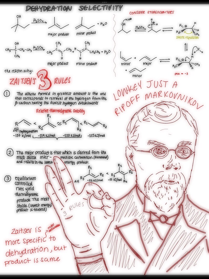 Zaitsev Rules for Organic Chemistry Poster / Notes - Etsy
