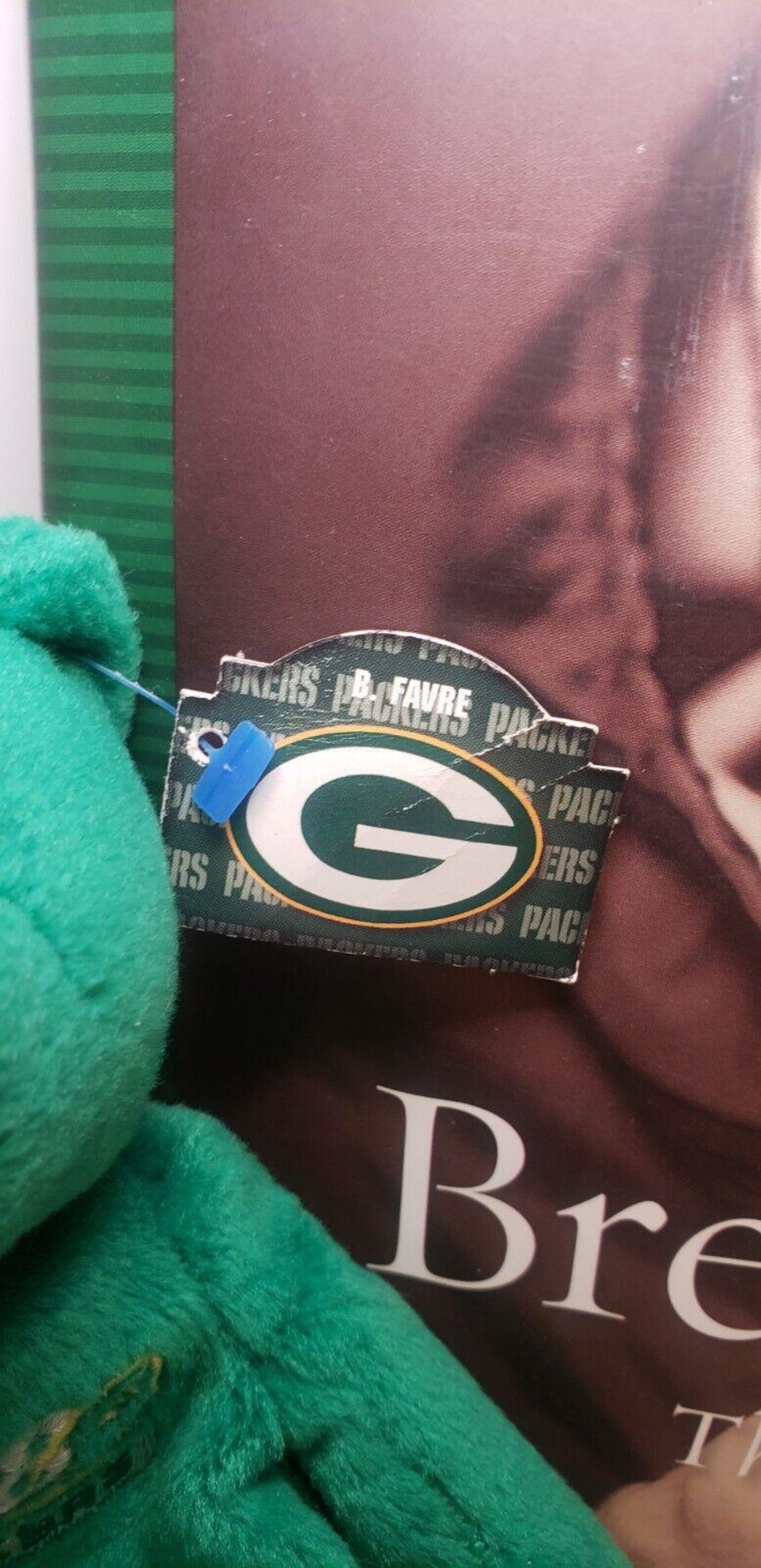 Brett Favre Sports Illustrated Tribute Book + Beanie Baby Bear 1998 GB ...
