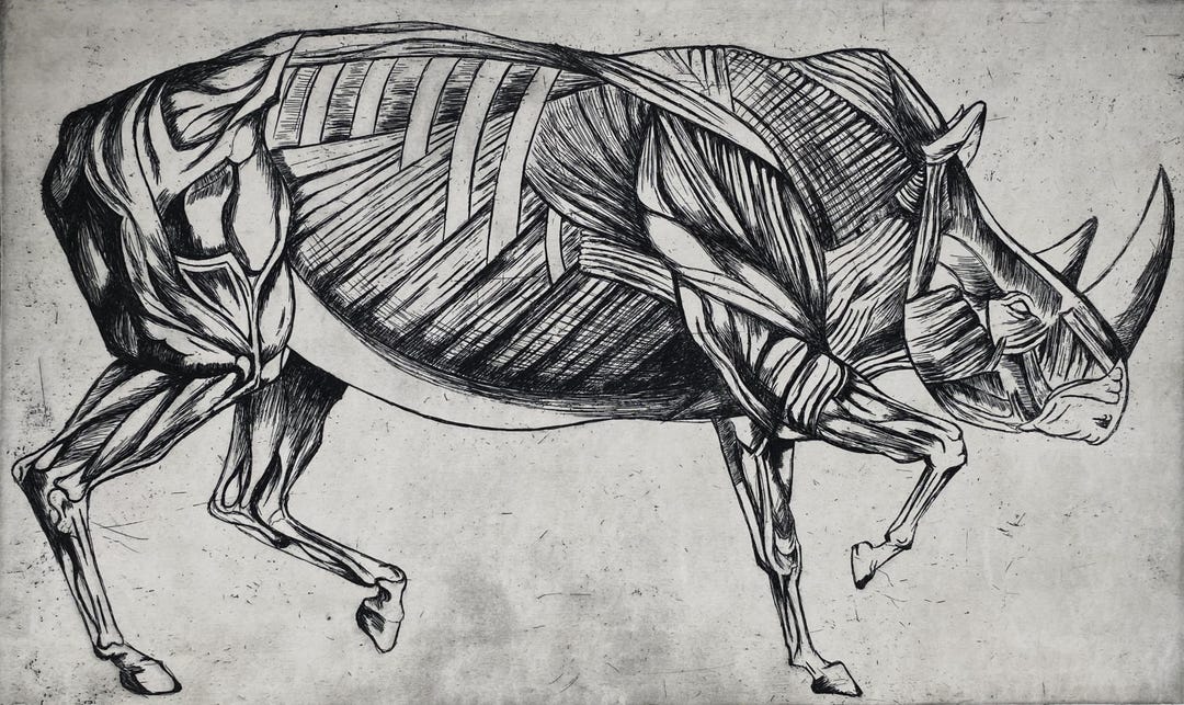 Art Print | Original Etching | Intaglio | Aquatint | Workshop Graphics ...