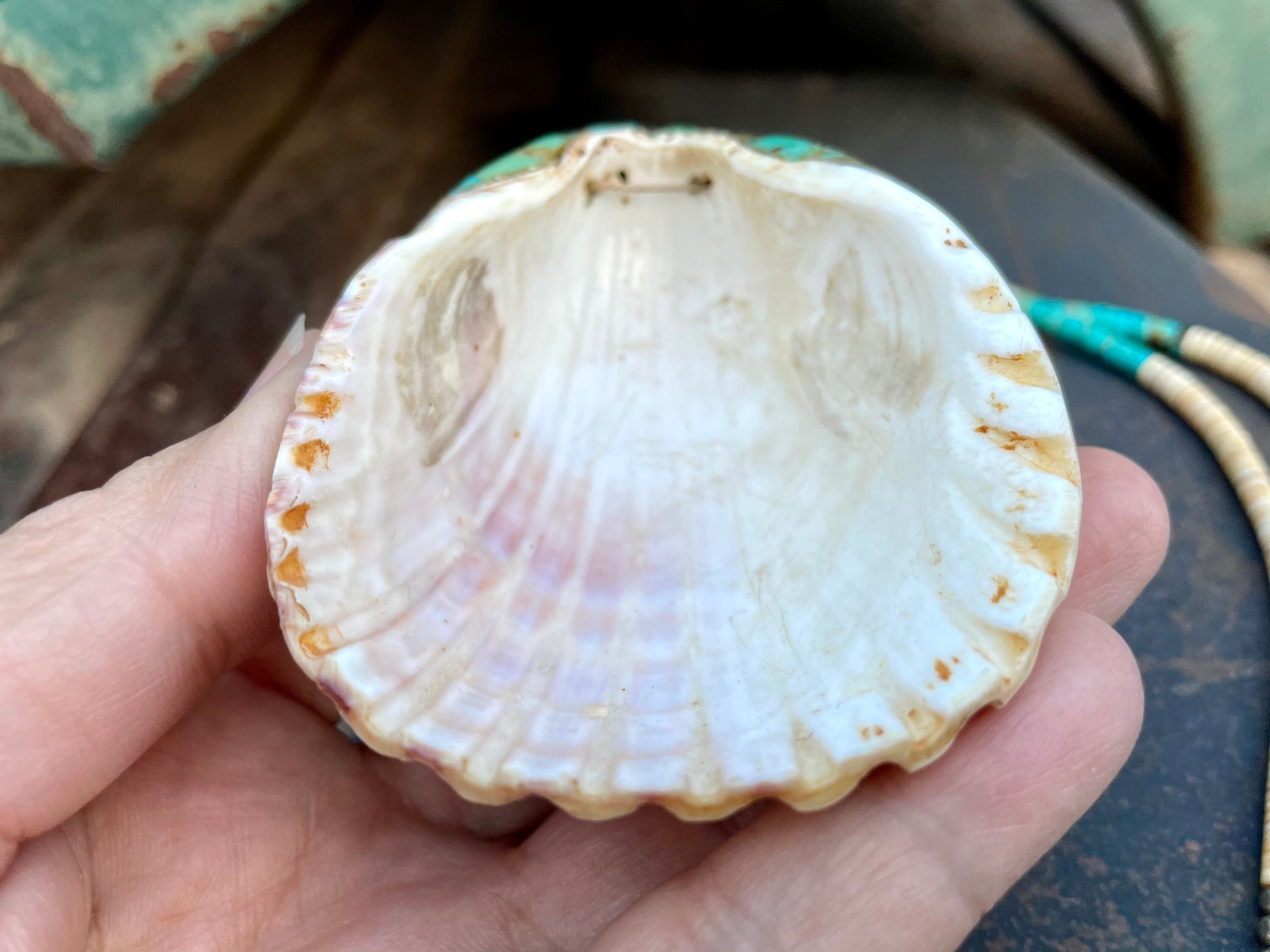 Vintage Santo Domingo (Kewa) Turquoise Inlay Shell Pendant 2.5 x 3 with ...