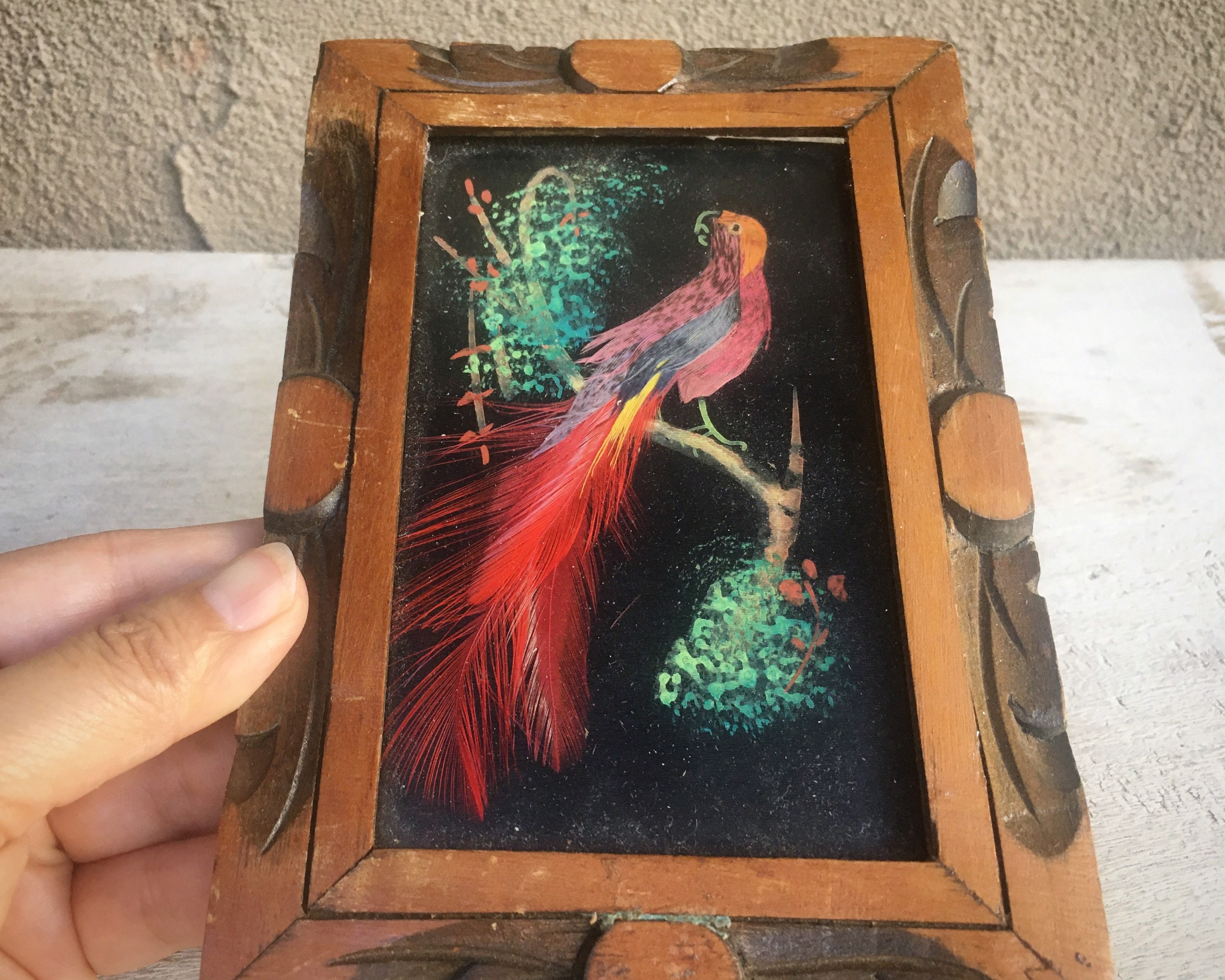 Small Framed 5x7 Mexican Feather Art Red Bird Arteplumeria, Real ...