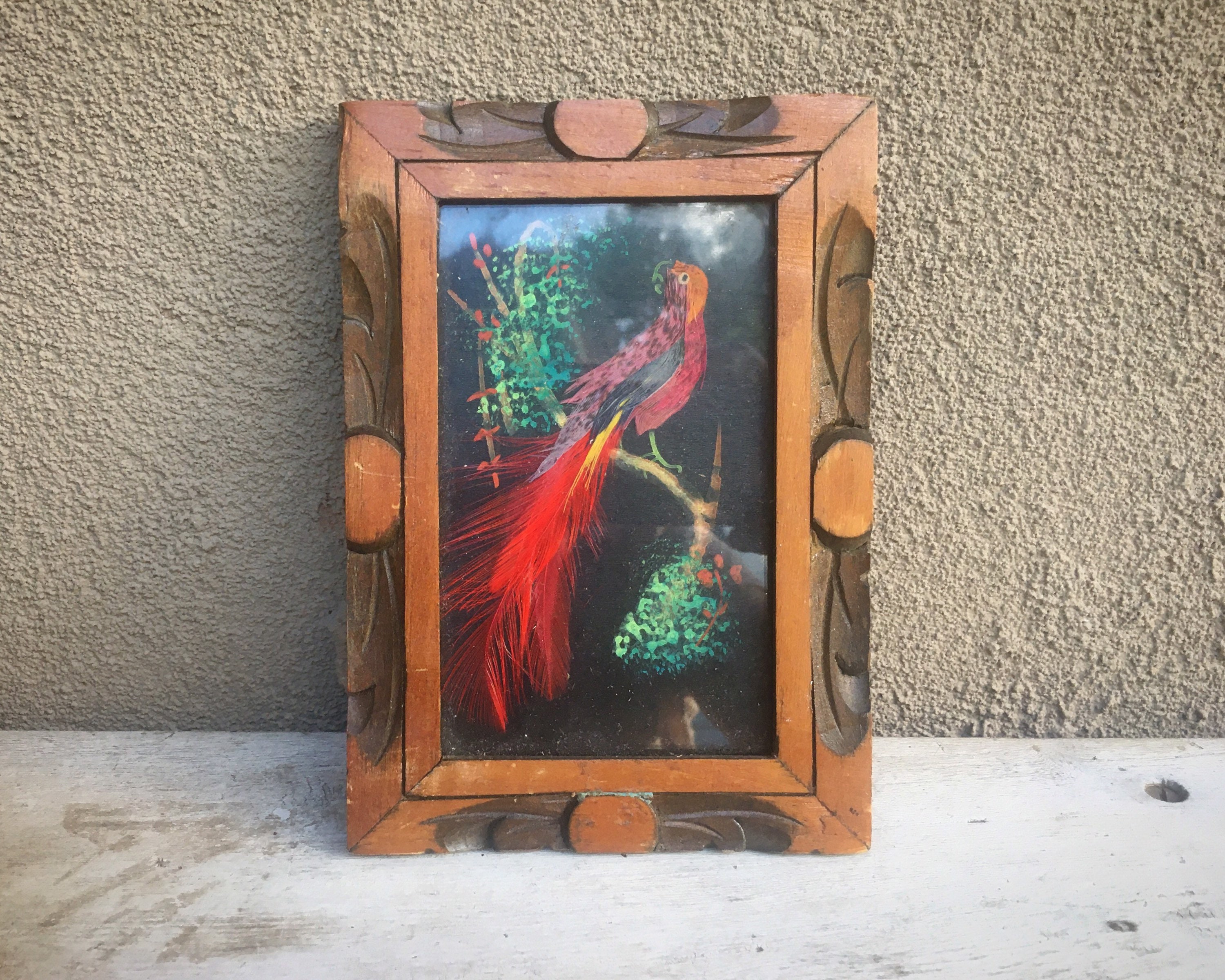 Small Framed 5x7 Mexican Feather Art Red Bird Arteplumeria, Real ...