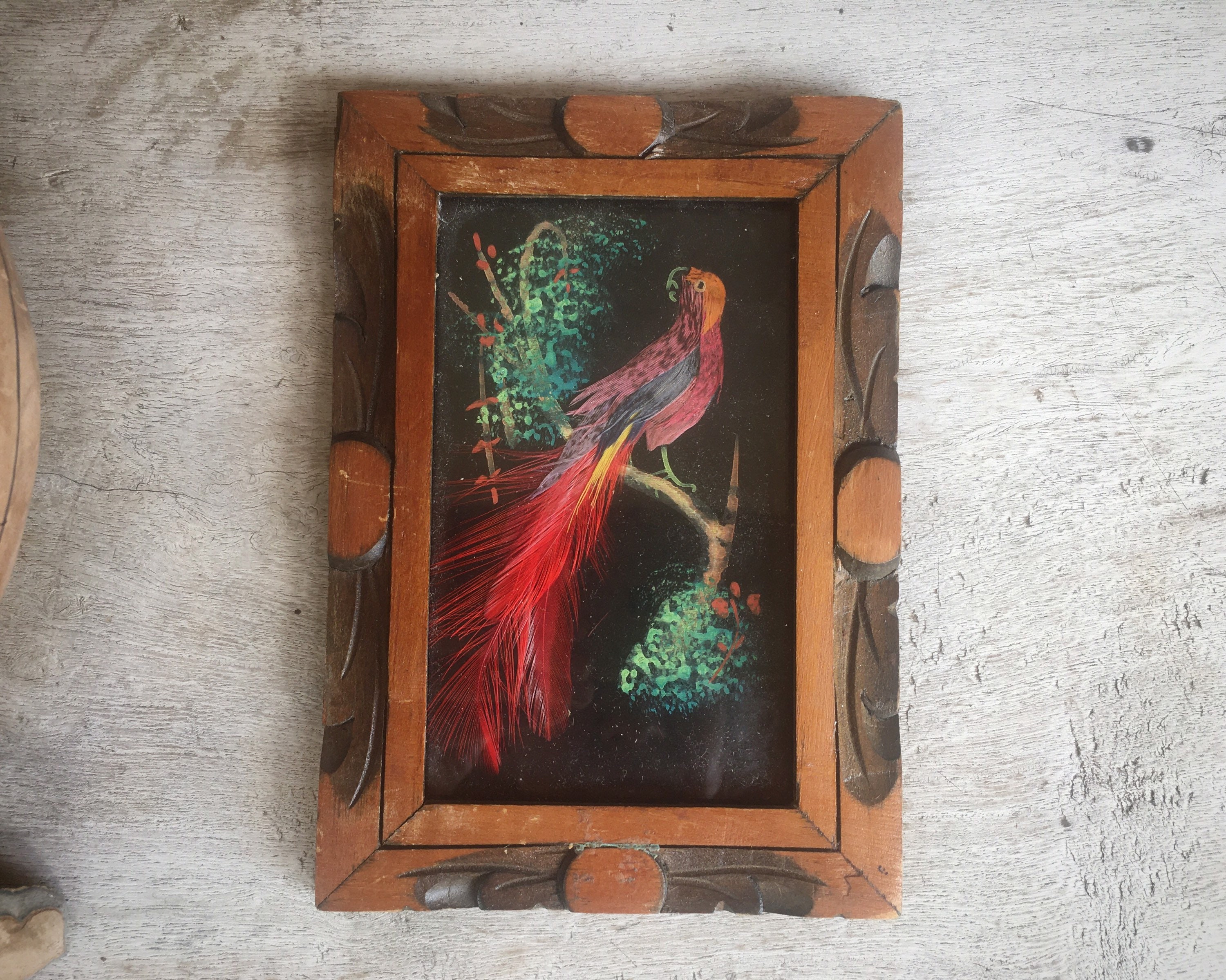 Small Framed 5x7 Mexican Feather Art Red Bird Arteplumeria, Real ...
